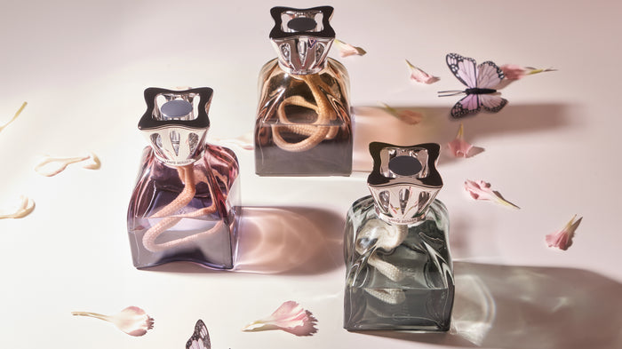 Collection Lilly • Maison Berger Paris