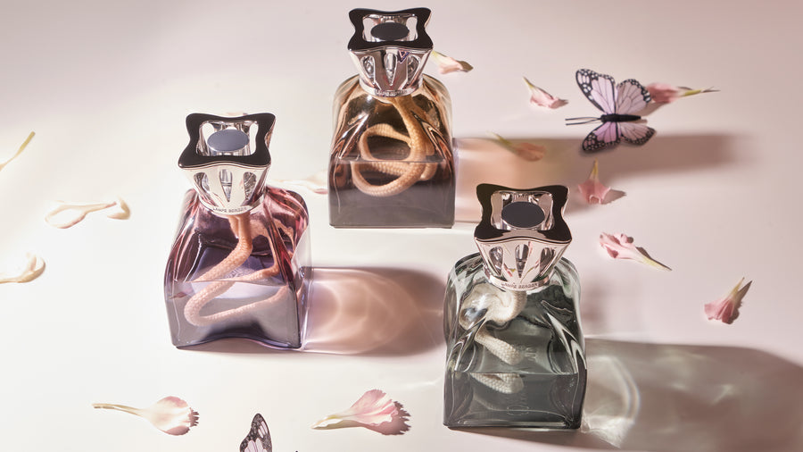 Collection Lilly • Maison Berger Paris