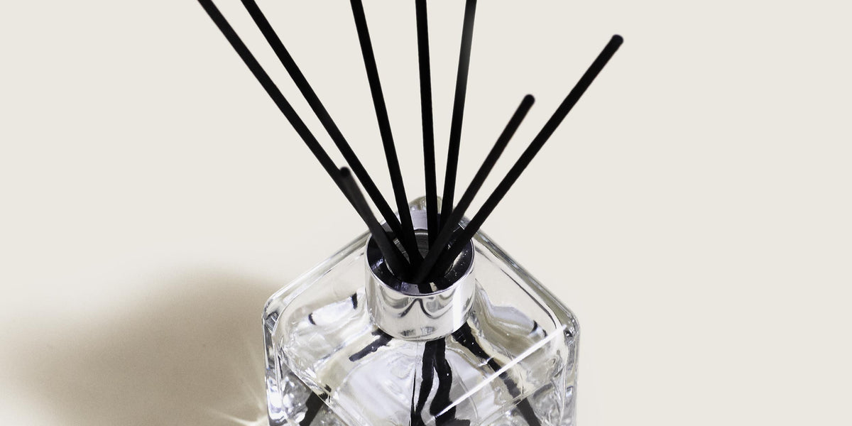 Bouquet parfumé Musc Cocoon - Maison Berger Paris